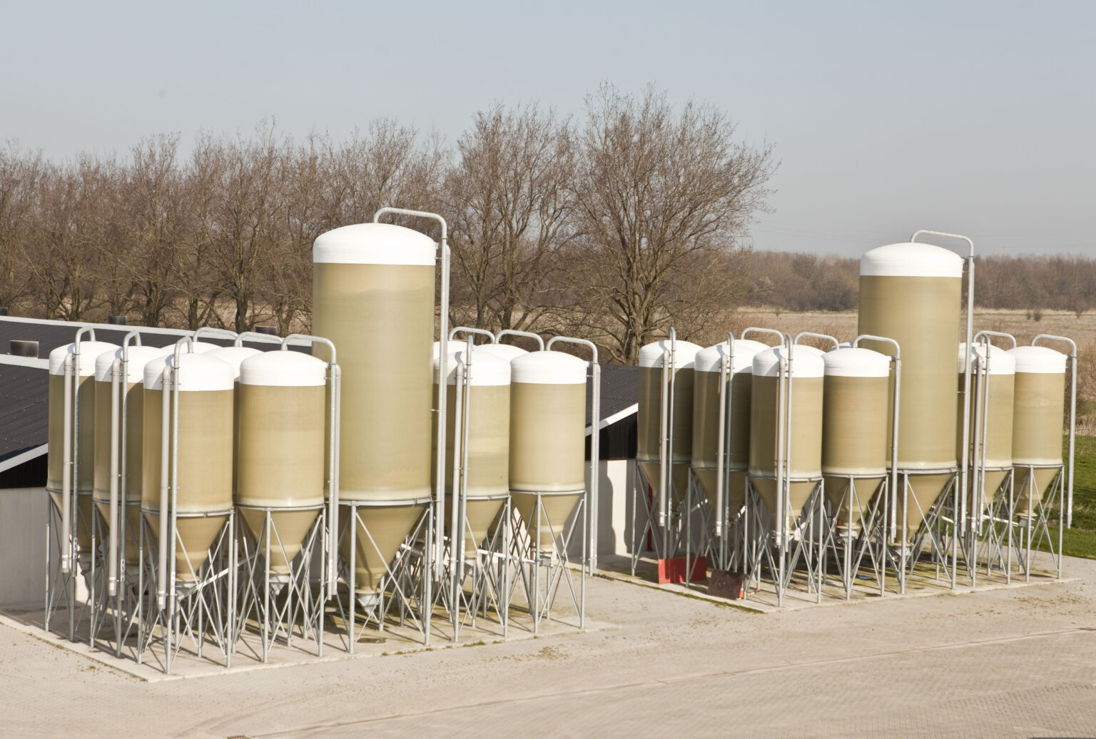 Advanced Feed Package - Schothorst Feed Research