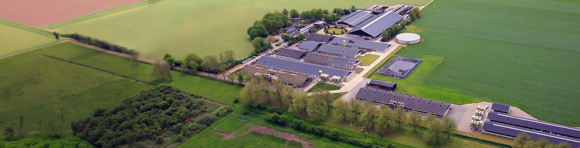 Werken bij SFR - Schothorst Feed Research